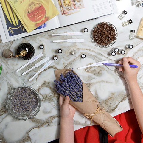 Undergraduate and Graduate Programs | SCAD.edu