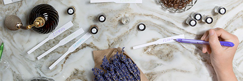 Undergraduate and Graduate Programs | SCAD.edu