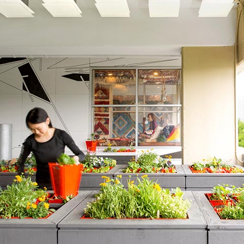 Undergraduate and Graduate Programs | SCAD.edu