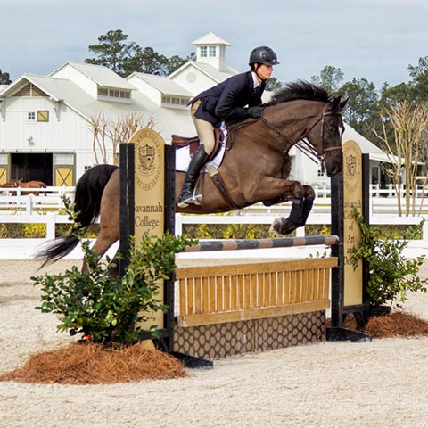 Undergraduate and Graduate Programs | SCAD.edu