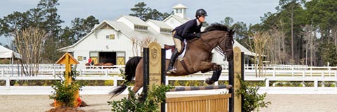 Undergraduate and Graduate Programs | SCAD.edu