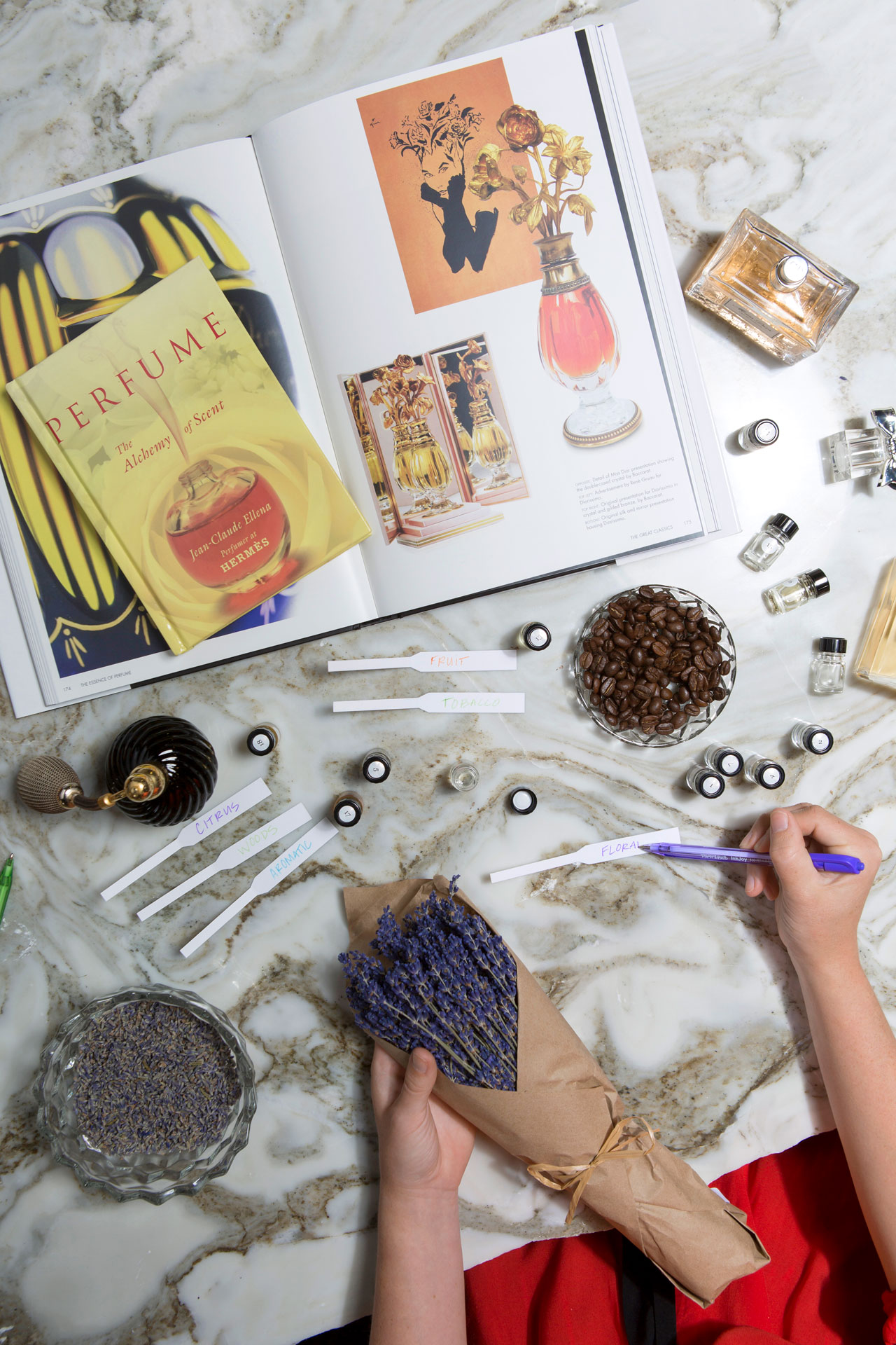 New degree program: business of beauty and fragrance | SCAD.edu