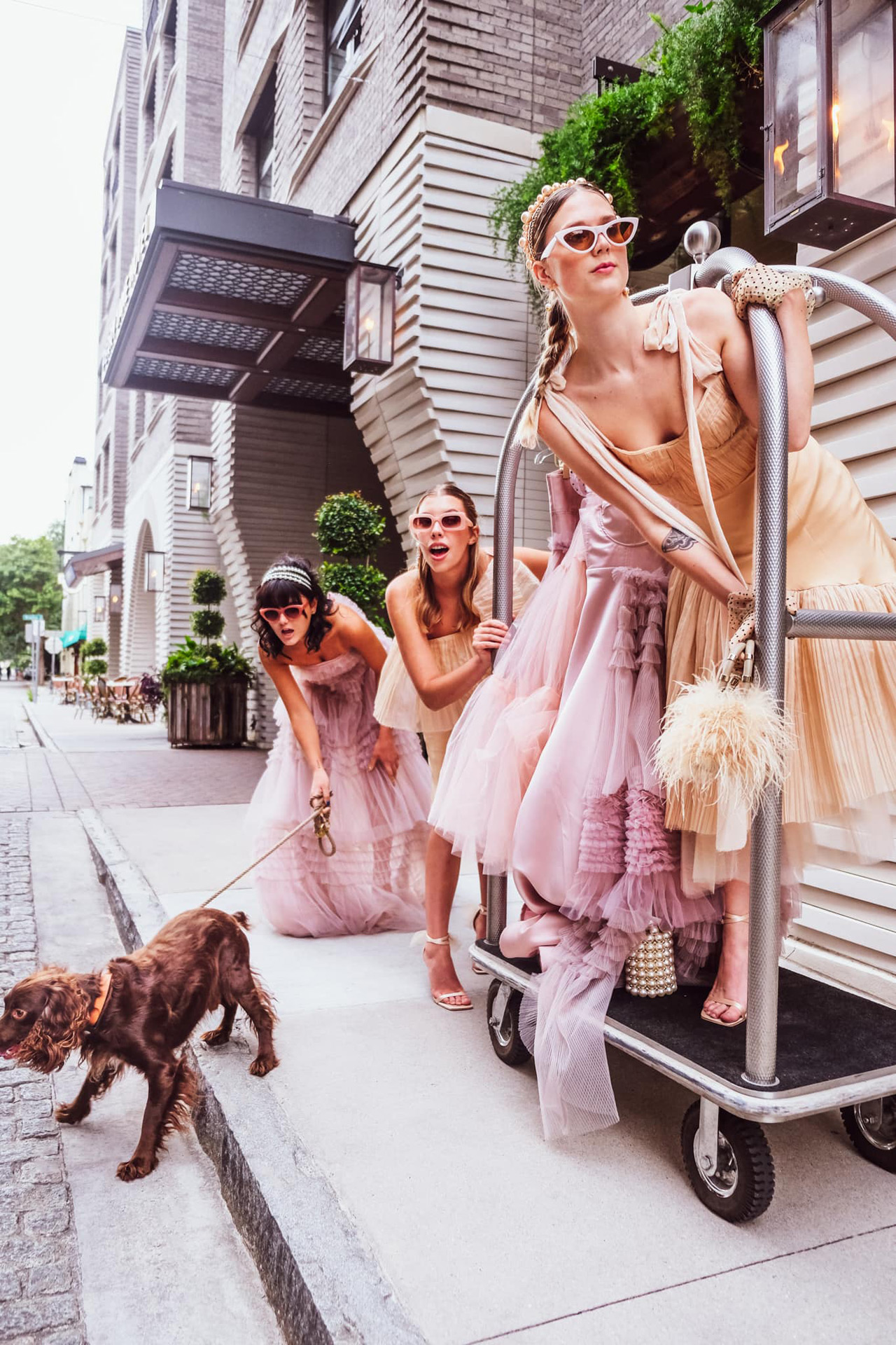 Laurel Wolcott | SCAD.edu