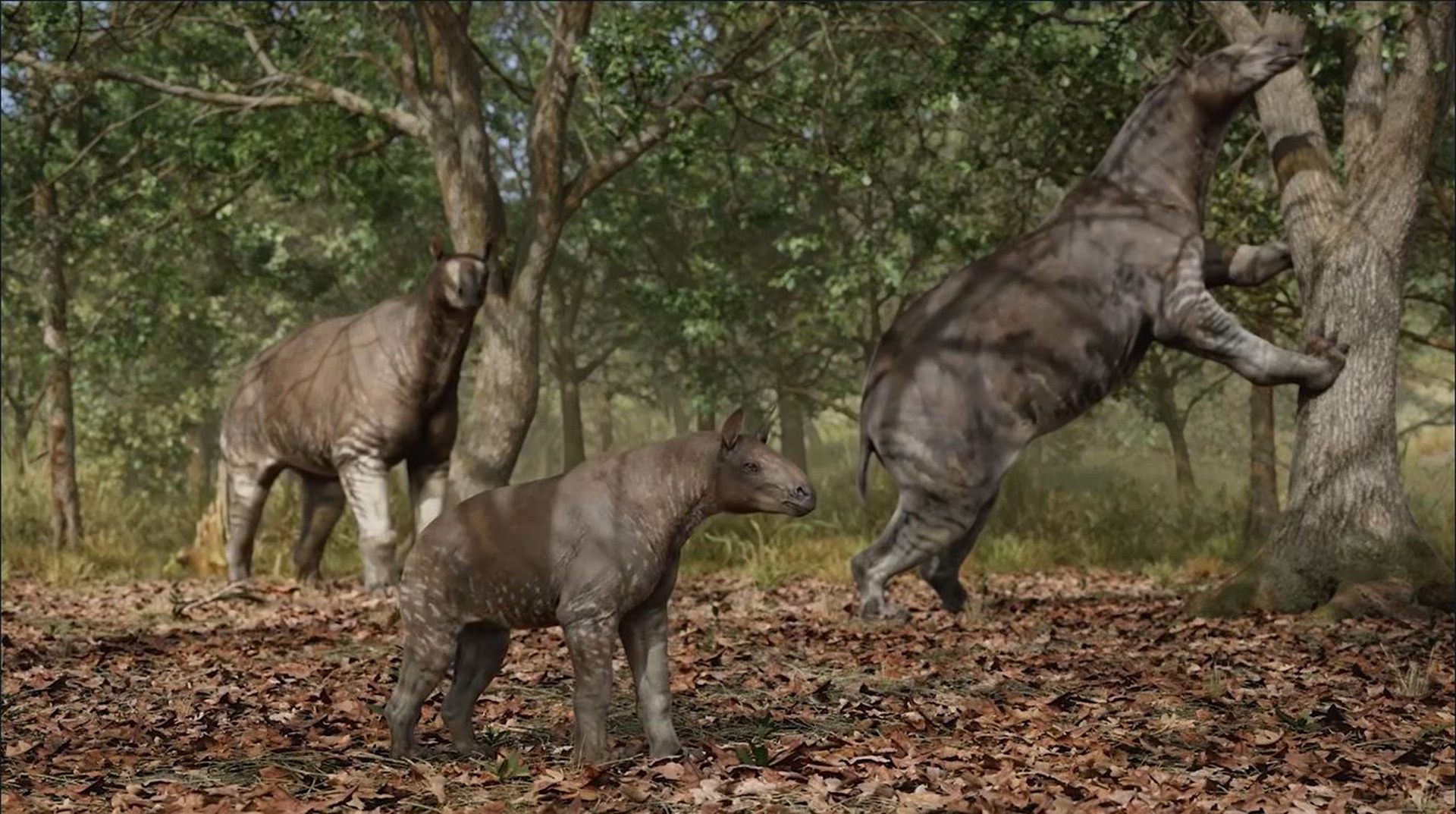 SCAD Challenge winners | SCAD.edu