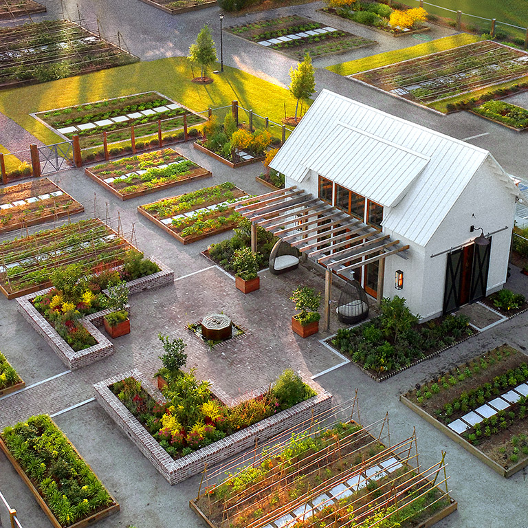 SCAD SERVE - History | SCAD