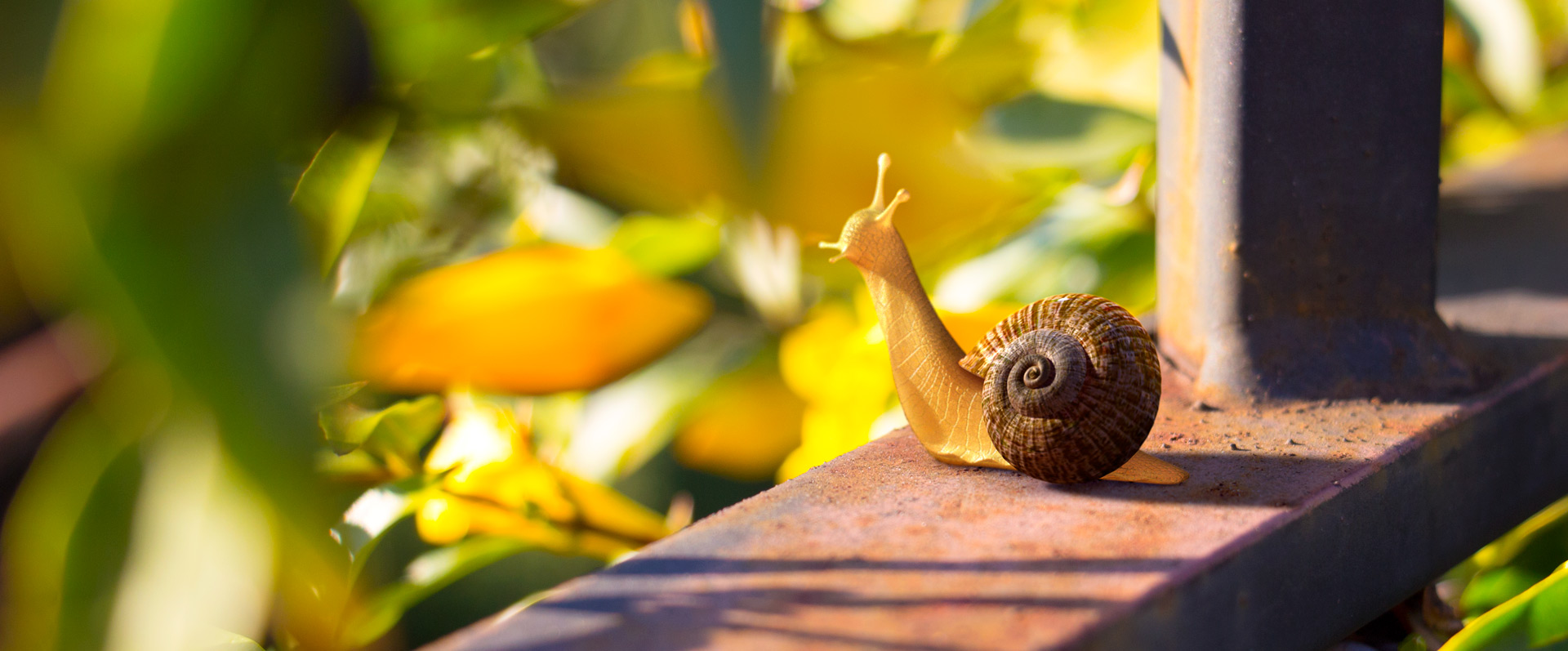 Mitchell Atwater | SCAD.edu