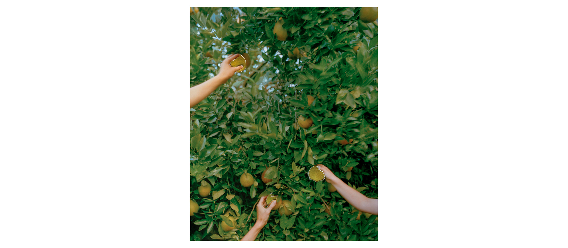 SCAD alumni artists dazzle at Photo London | SCAD.edu