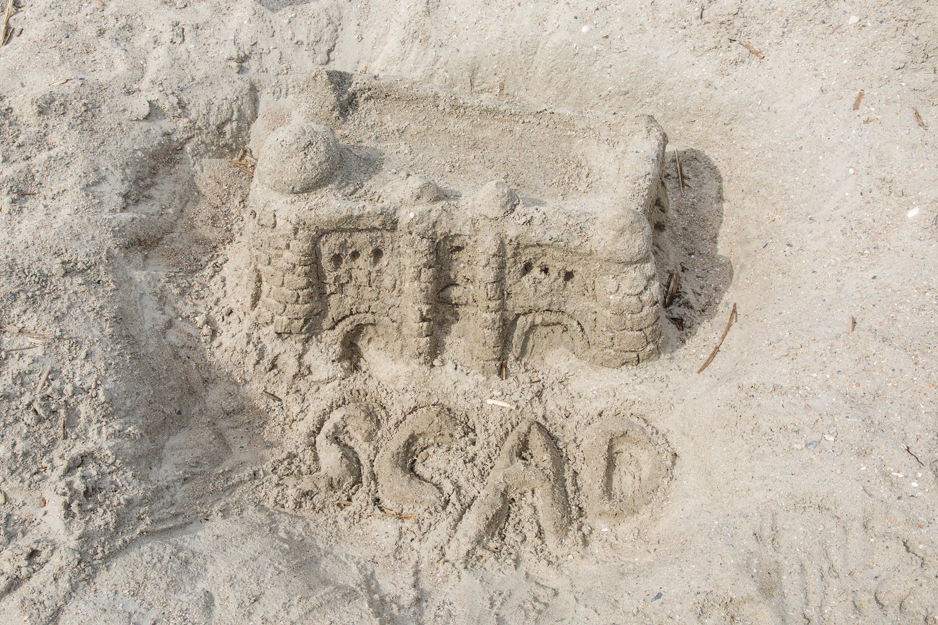 SCAD descends on Tybee for Sand Arts sculpting contest | SCAD.edu