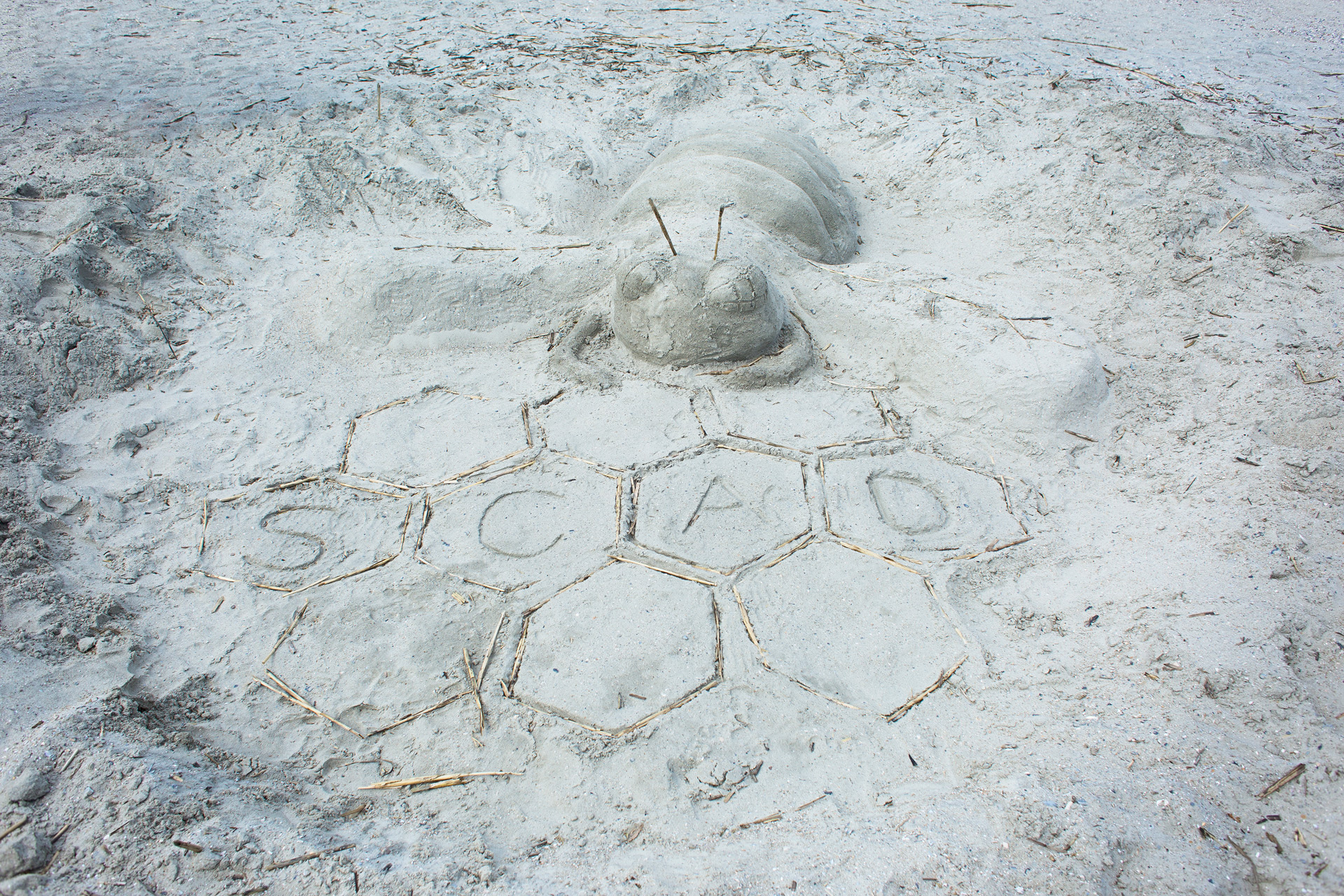 SCAD announces 2015 Sand Arts Festival winners | SCAD.edu