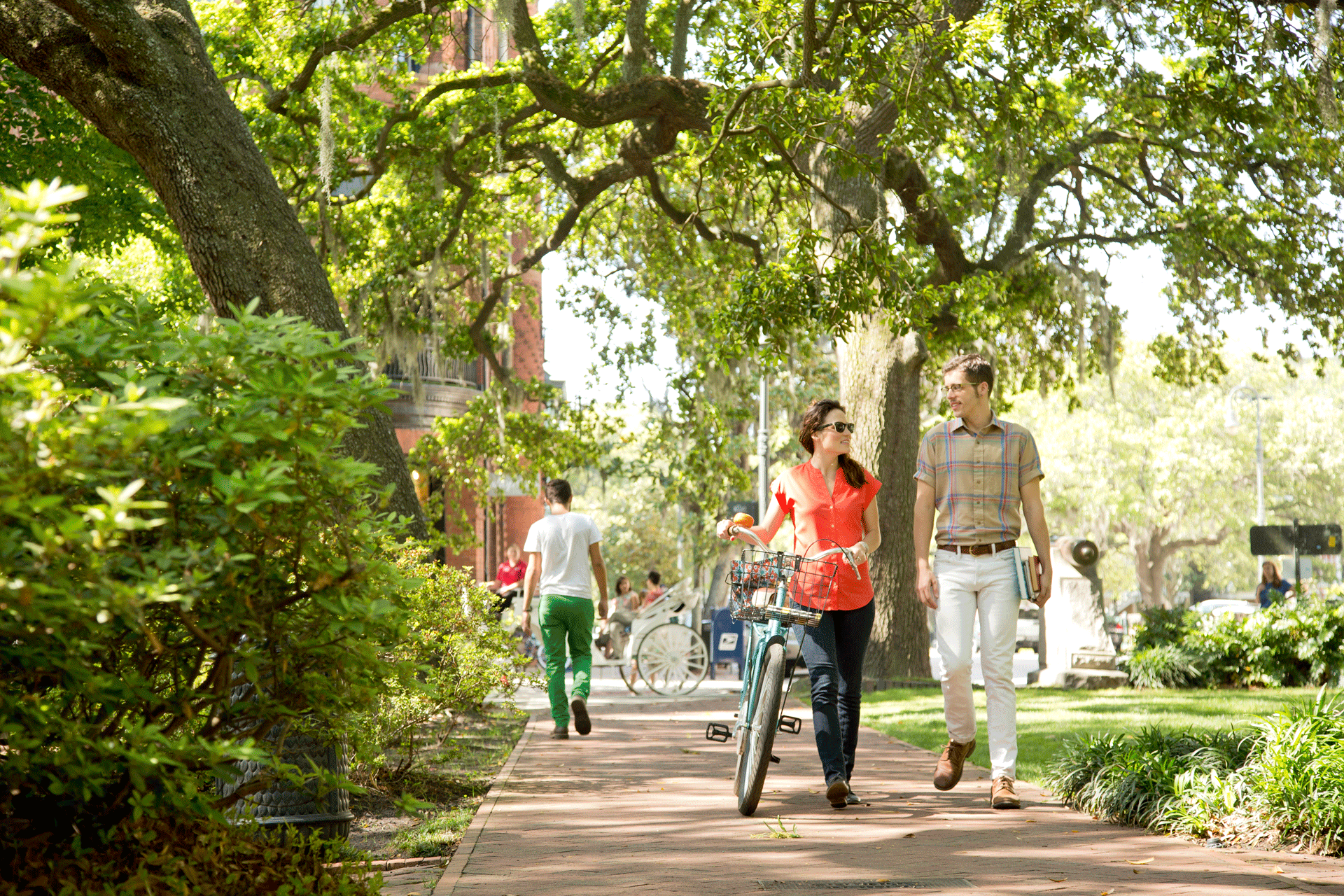 At SCAD Savannah bikes know no season | SCAD.edu