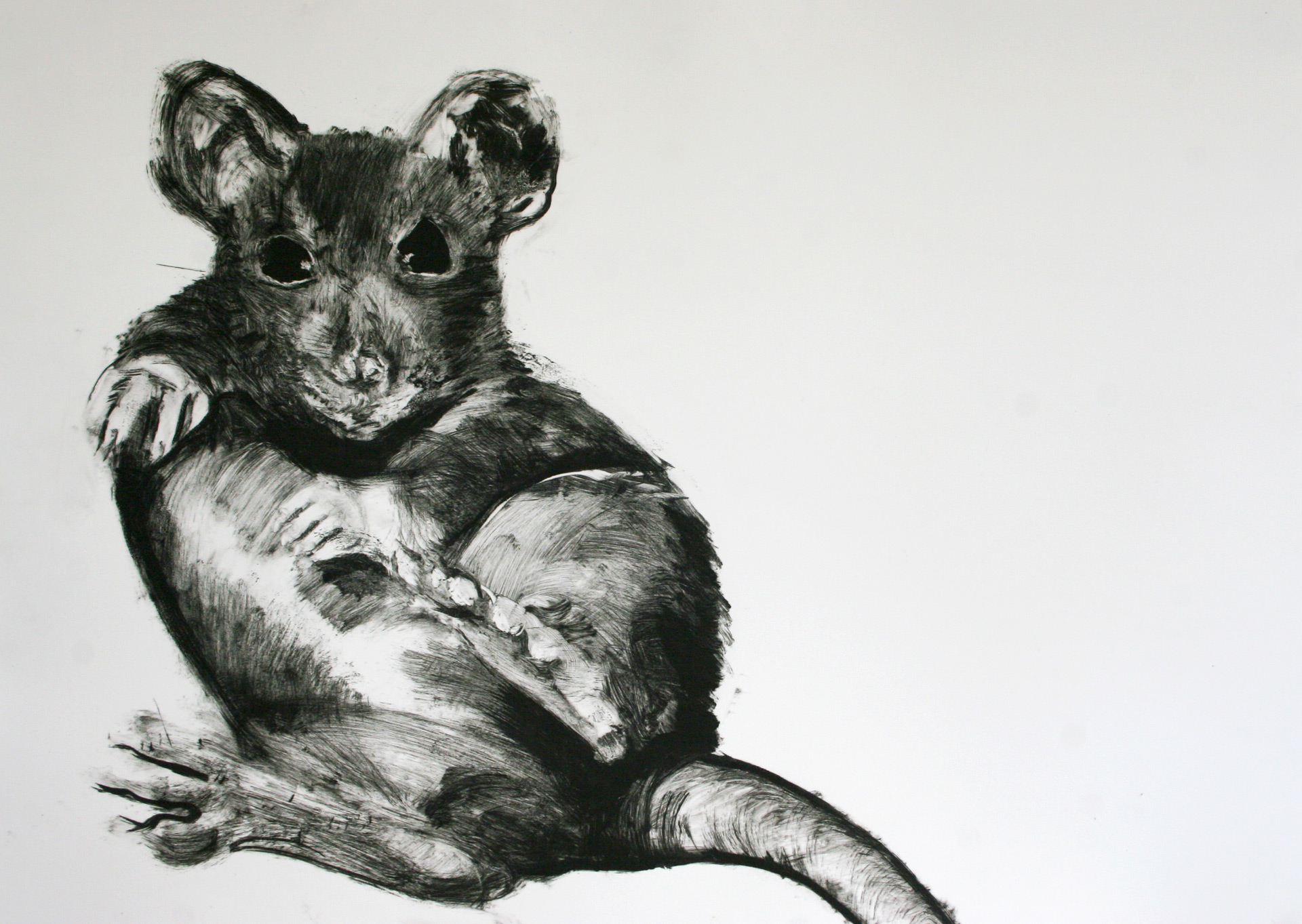 Reclining Rat | SCAD.edu
