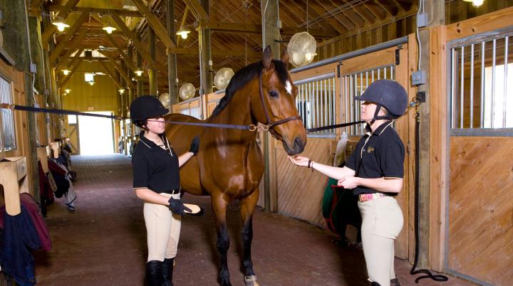 Ronald C. Waranch Equestrian Center | SCAD.edu