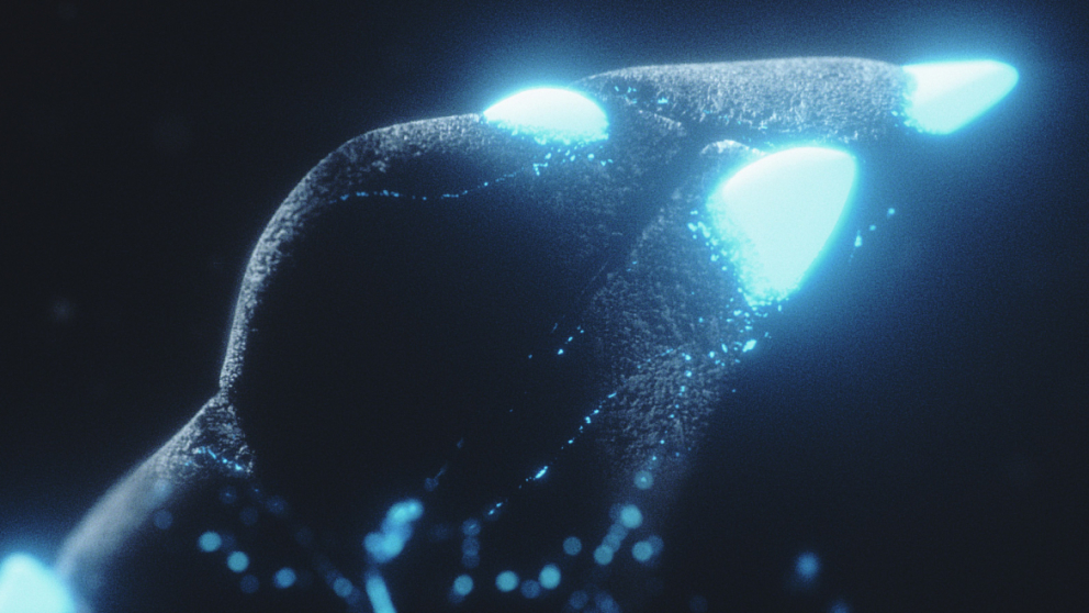 SCAD motion media design students earn honors at PromaxBDA awards ...