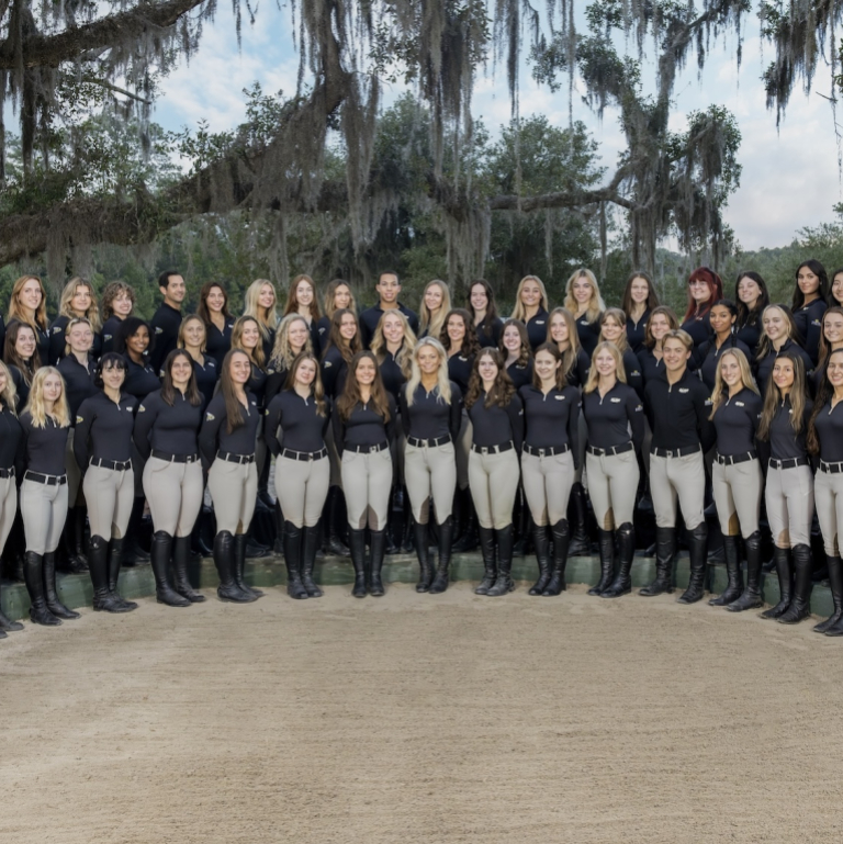 Alumni network | SCAD